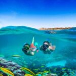 Catamaran Cruise, Snorkeling and Dunn's River Falls - Authentic Experiences & Authenticity in Adventure
