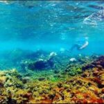 Catamaran Cruise with Dunns River Falls from Montego Bay - The Value of This Tour