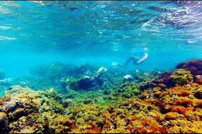 Catamaran Cruise with Dunns River Falls from Montego Bay - The Value of This Tour