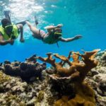 Catamaran Party Cruise and Snorkeling from Montego Bay - An In-Depth Look at the Tour Experience