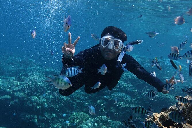 Catamaran Snorkeling in Kota Kinabalu - Detailed Breakdown of the Itinerary