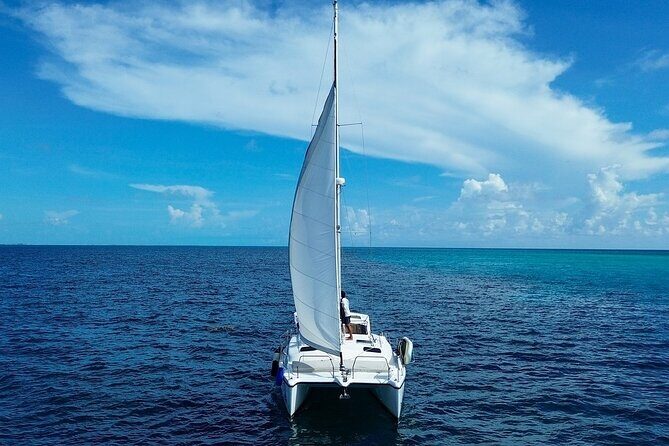Catamaran to Isla Mujeres, from Playa del Carmen or Riviera Maya - The Itinerary in Detail