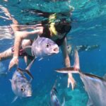 Catamaran with a slide in Cozumel  El Cielo, Cielito, and Palancar Reef - What Makes This Tour Stand Out?