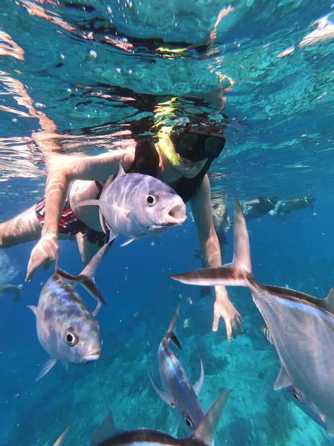 Catamaran with a slide in Cozumel  El Cielo, Cielito, and Palancar Reef - What Makes This Tour Stand Out?