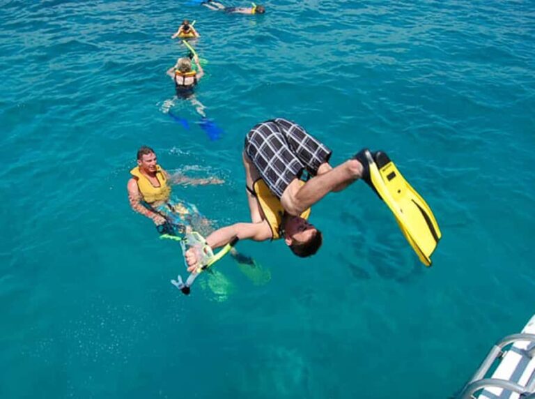 Catamaya Snorkel & Sea Life Adventure day tour - Key Highlights of the Tour