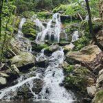 Catawba Waterfall Hike Half Day Tour - Value and Practical Considerations