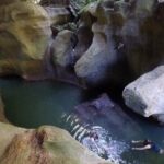 Cave Adventure - Charco Azul Caves, Canyon & Waterfall Adventure - What to Expect in Terms of Physical Demands and Logistics