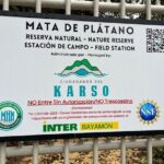 Cave, Bats and Boas Night Tour - Puerto Rico - FAQ