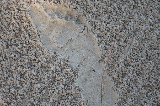 Cave Explorer Plus Waterfalls Tour From Falmouth Private Driver - The Practical Details