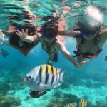 Cayman 3 in 1 Adventure Reef Snorkeling, Starfish and Stingrays - Introduction to the Tour