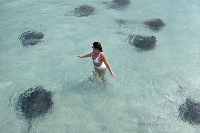 Cayman 3 in 1 Combo Adventure Stingray City Reef Snorkeling - Detailed Itinerary Breakdown