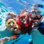 Cayman Adventure: Starfish Point, Stingray City and Coral Gardens - Why This Tour Works for You