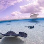 Cayman Adventure Stingrays Starfish plus Crystal Caves - Who Will Appreciate This Tour?