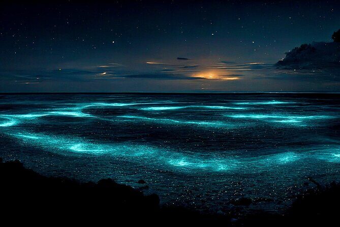 Cayman Bioluminescent Bay Night Tour - What Makes This Tour Stand Out?