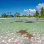 Cayman Combo Adventure: Stingray City, Starfish & Crystal Caves - Transportation & Logistics