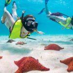 Cayman Combo Tour: Stingrays, Starfish Point and Crystal Caves - FAQ