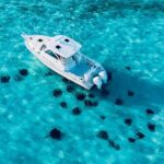 Cayman Private Luxury Charters - Stingray City, Snorkel, & More - The Practicalities: How the Tour Works