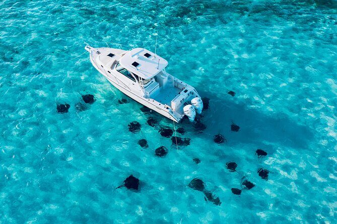 Cayman Private Luxury Charters - Stingray City, Snorkel, & More - The Practicalities: How the Tour Works