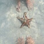 Cayman Ultimate Tour: Stingrays, Starfish Point and Crystal Caves - FAQs