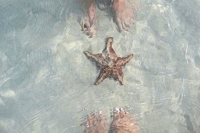 Cayman Ultimate Tour: Stingrays, Starfish Point and Crystal Caves - FAQs