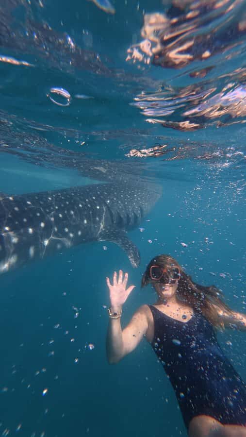 Cebu: Adventure Escape 4 Days & 3 Nights All-In Experience - What to Expect from Each Stop