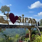 Cebu City: Heritage and Uphill Tour with 10,000 Roses - How Does It Compare?