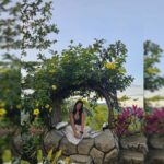 Cebu: Highlands Tour - Temples, Gardens & Scenic Views - The Itinerary Breakdown