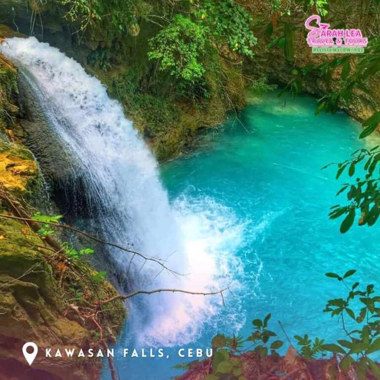 Cebu: Moalboal & Kawasan Canyoneering Adventure - What makes this tour stand out?