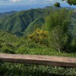 Cebu: Mount Naupa Hiking and Waterfall Tour - Detailed Breakdown of the Route