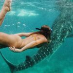 Cebu: Oslob Whale Shark Encounter & Sumilon Island Day Tour - Key Points