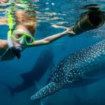 Cebu: Oslob Whale Shark, Tumalog Fall & Moalboal Turtle Tour - What Travelers Are Saying