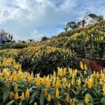 Cebu Private Half Day Highlands Tour with Food Options - Price and Value Analysis