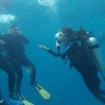 Cebu: Scuba Diving with Whale Sharks Trip in Oslob - The Value of This Tour