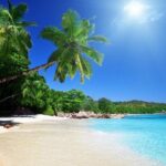 Cebu to Bohol: 2D and 1N with Bohol Country Side Tour - Day 1: From Cebu to Bohol’s Rich Tapestry