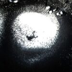 Cebu Tour Package 3D2N - The Sum Up