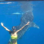 Cebu:Whale Shark, Waterfall, and Sardine Run Group Tour+Meal - Detailed Itinerary Breakdown