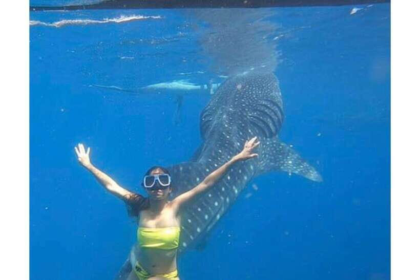 Cebu:Whale Shark, Waterfall, and Sardine Run Group Tour+Meal - Detailed Itinerary Breakdown