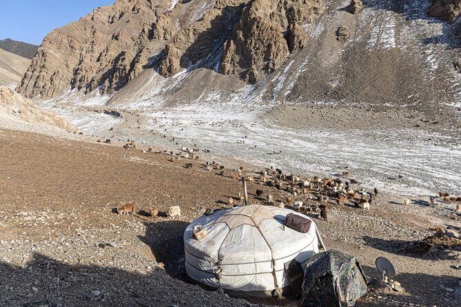 Celebrate Mongolias New Year the Nomadic Way - Transportation and Practicalities