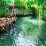 Cenote Swim, Cave Exploration and Plantation Tour in Punta Cana - Who Will Enjoy This Tour?