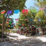 Cenotes Casa Tortuga: 4 Cenotes Day Pass + Kayak - The Itinerary Breakdown: What Your Day Looks Like