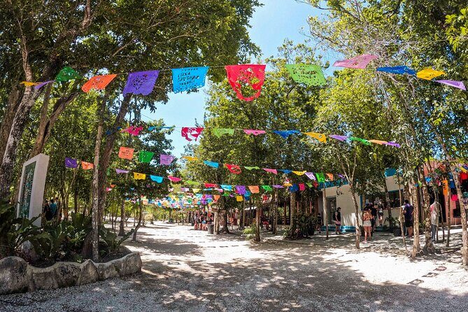 Cenotes Casa Tortuga: 4 Cenotes Day Pass + Kayak - The Itinerary Breakdown: What Your Day Looks Like
