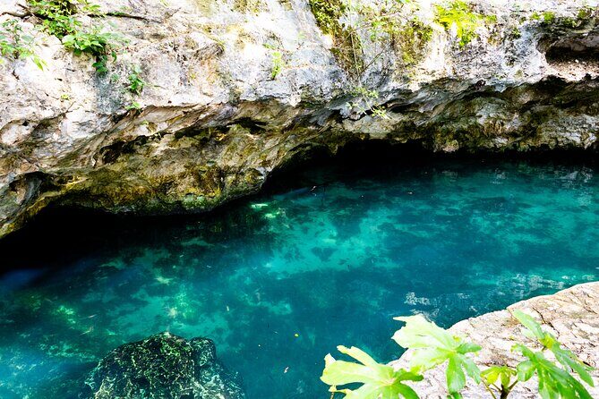 Cenotes Casa Tortuga Admission Ticket - Who Is This Tour Best Suited For?