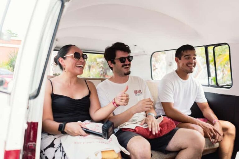Cenotes roadtrip in classic van around Valladolid - Who Will Love This Tour?