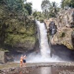 Central Bali: Ubud Village, Rice Terrace, and Kintamani Tour - Who Will Love This Tour?