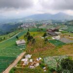 Central Java: Nepal Van Java & Borobudur Temple Tour - Authenticity & Practical Tips