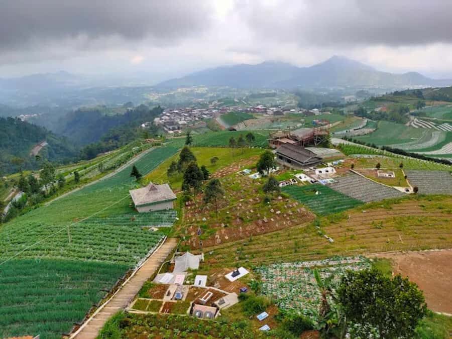 Central Java: Nepal Van Java & Borobudur Temple Tour - Authenticity & Practical Tips