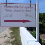 Central Long Island 3 Hour Guided Land Tour - Is This Tour Right for You?