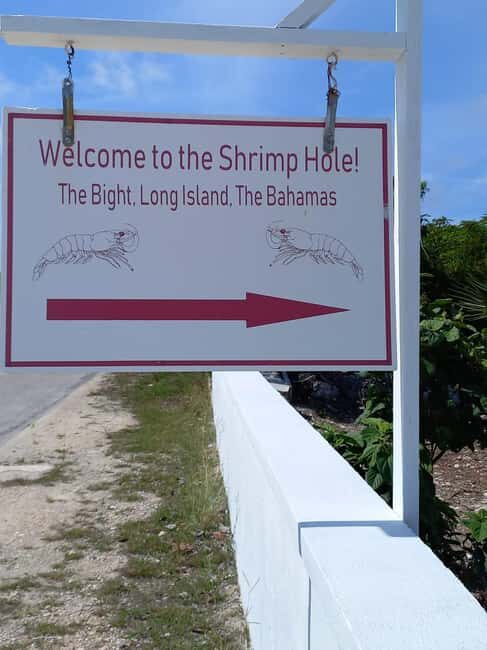 Central Long Island 3 Hour Guided Land Tour - Is This Tour Right for You?