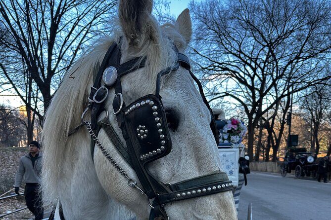 Central Park Carriage Ride NYCs Timeless Tour - Who Should Consider This Tour?