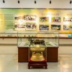 Cham Island Snorkeling Tour with Seafood Lunch Daily tour - The Value of This Tour